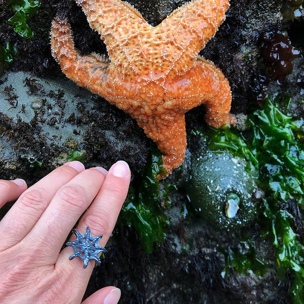 Colorful starfish meet my Sea Star Ring and bond over textures - CG ...